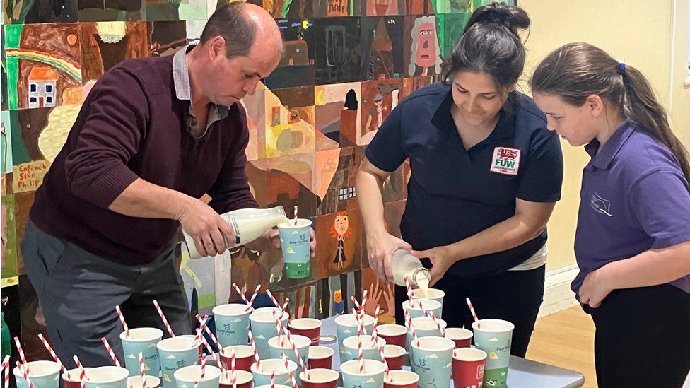 'Plant â mwy o synnwyr na llunwyr polisïau llaeth' - BBC Cymru Fyw