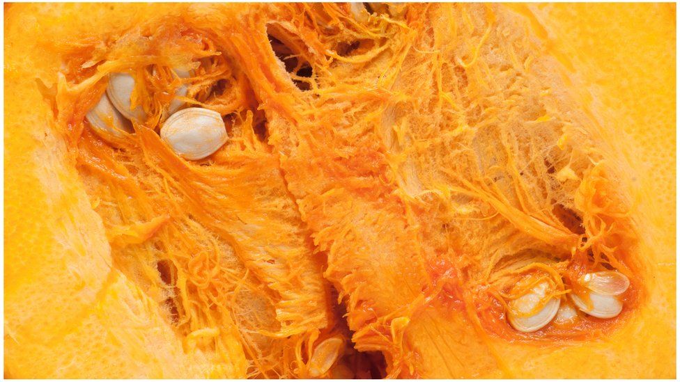 Halloween: What to do with your pumpkin when it's carved - BBC Newsround