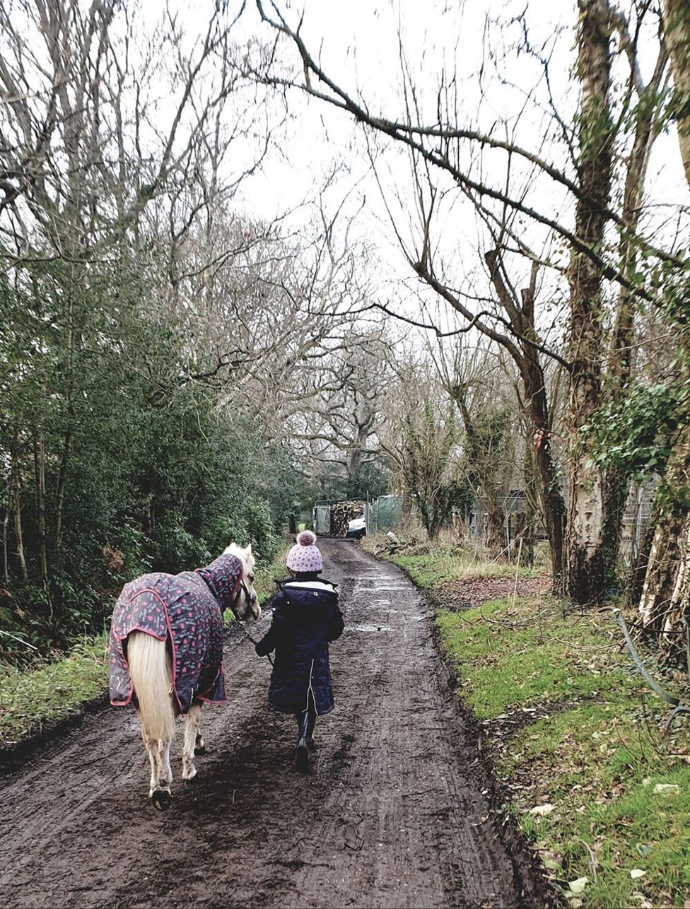 Your pictures on the theme of winter walks - BBC News
