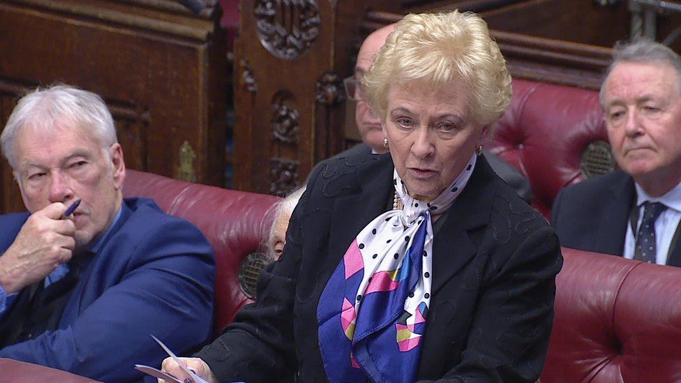 NI Troubles: Lord Eames says government bill is total disaster - BBC News