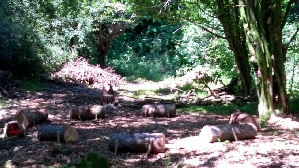 Late night parties force children's log circle to move - BBC News