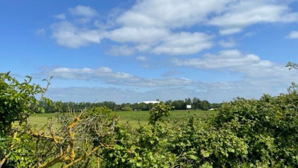 Watford Football Club's London Colney training dome must go - BBC News