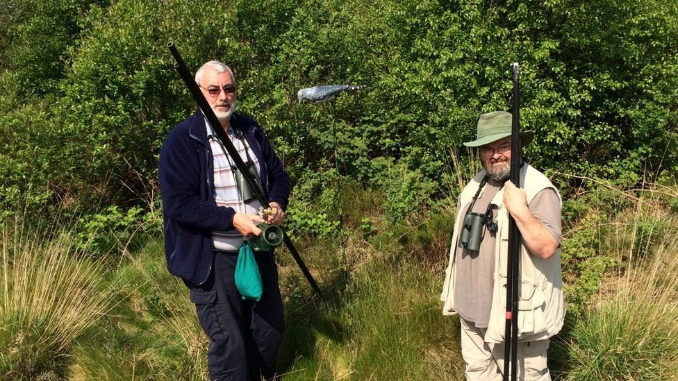 Tregaron Country Focus hunt for missing cuckoo, David - BBC News