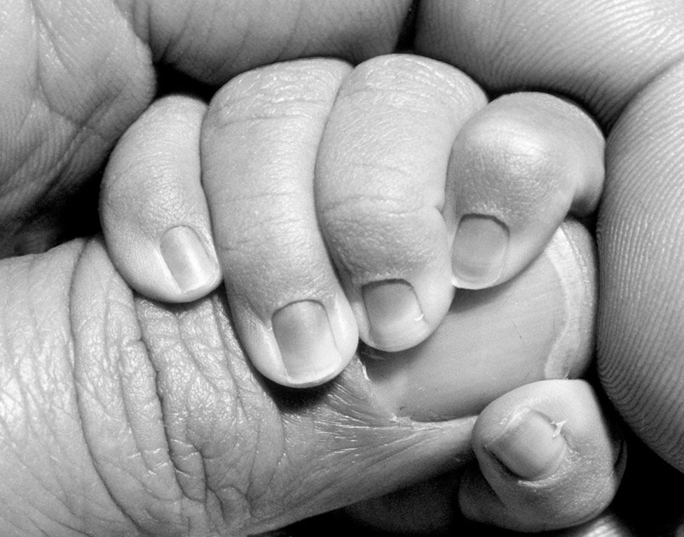 Your pictures on the theme of 'in my hand' - BBC News