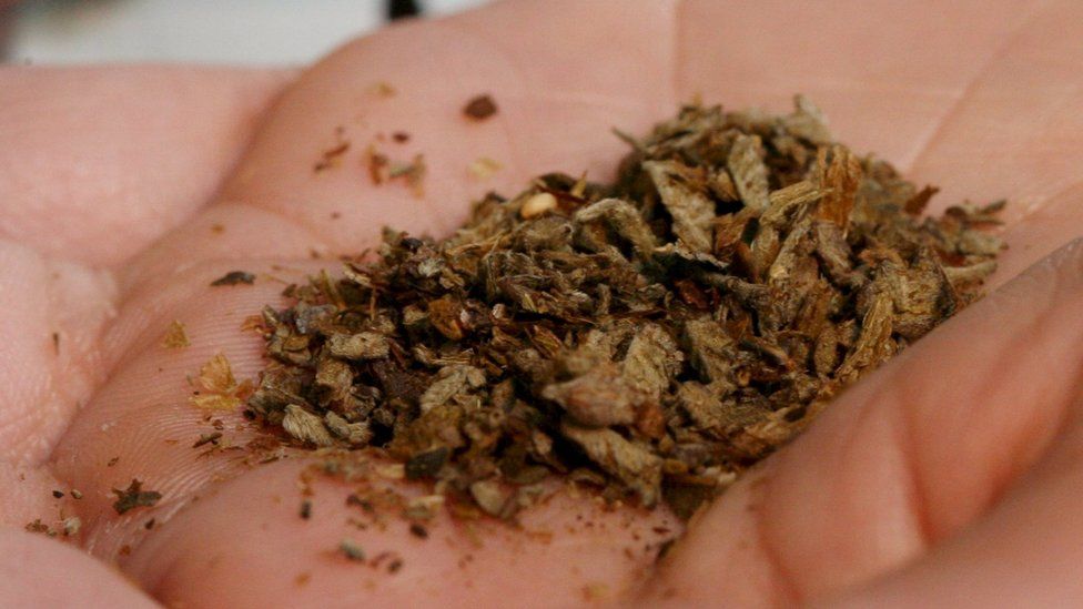 New drug test to detect spice or mamba - BBC News