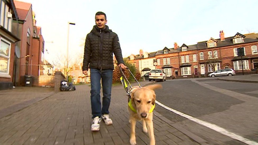 Birmingham taxi driver loses licence after guide dog refusal - BBC News