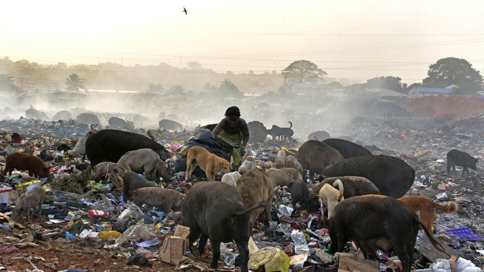 Africa's week in pictures: 23-29 March 2018 - BBC News