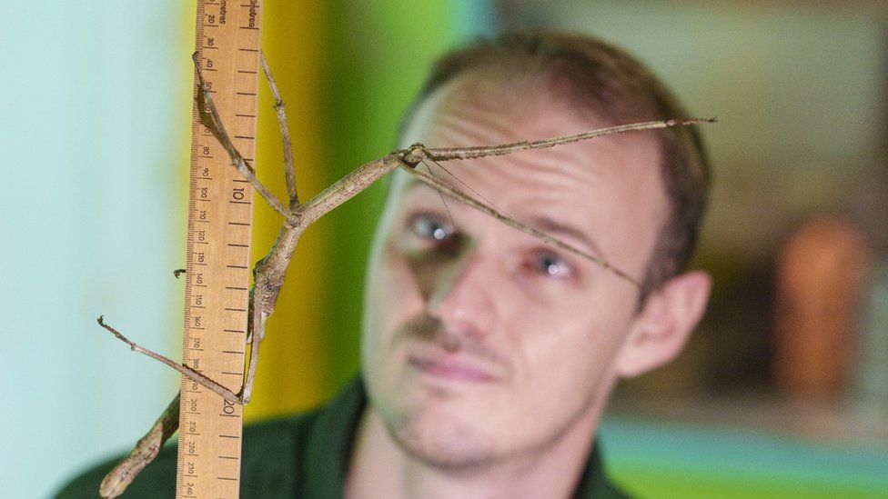 London Zoo's big annual animal count begins - BBC Newsround