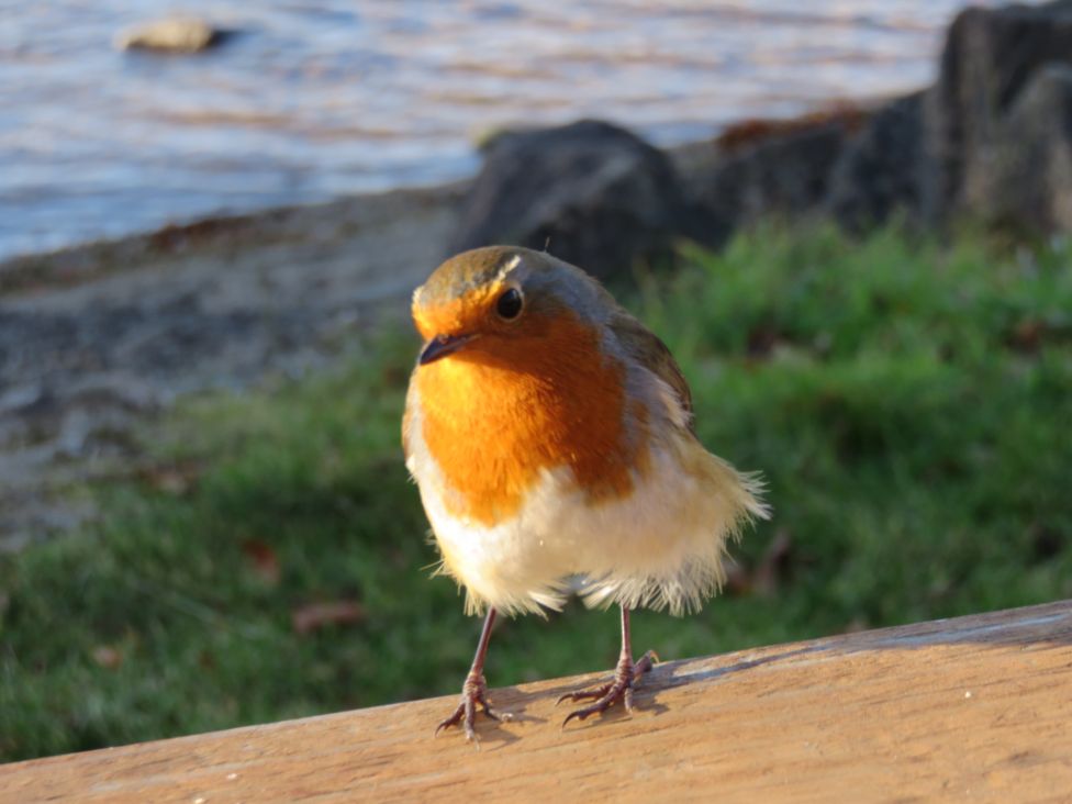 Your pictures of Scotland - BBC News