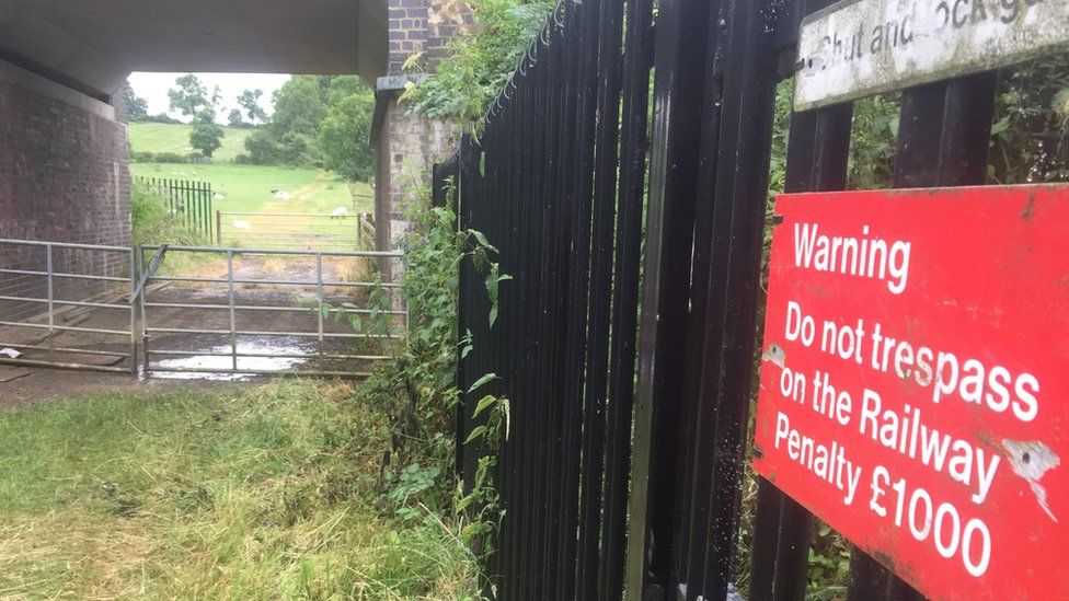 Electrocuted 11-year-old named as Harrison Ballantyne - BBC News