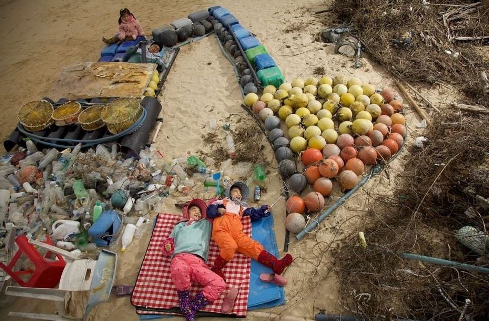 Earth Photo 2024: Amazing photos tell stories about our planet - BBC ...