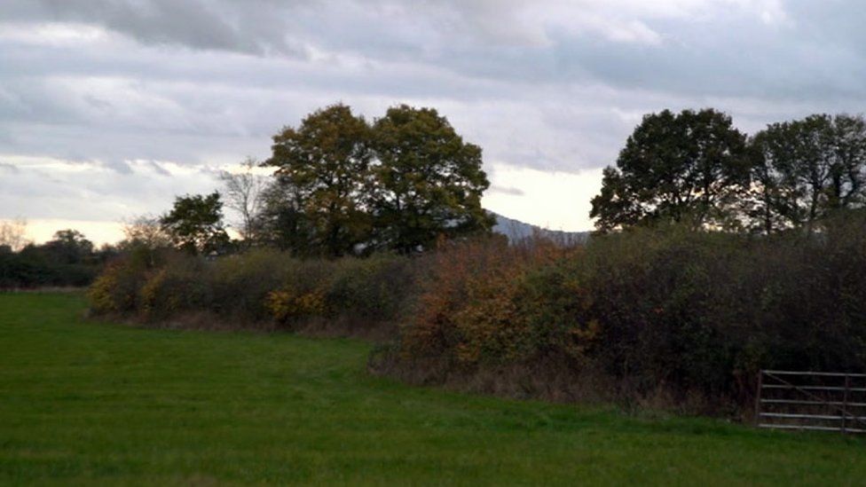 Wildlife trust buys farm at Monkwood to boost habitats - BBC News
