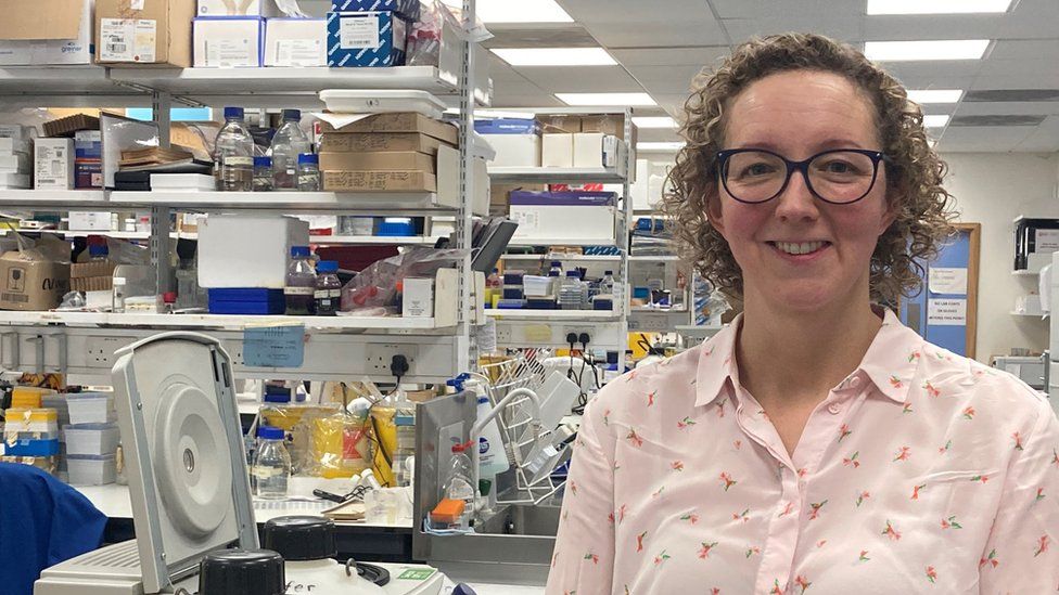 Belfast experimental cancer centre to get £1.7m research funding - BBC News