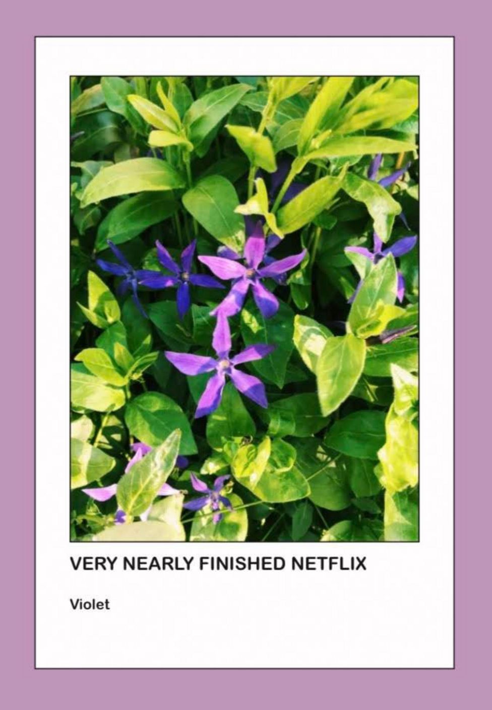 Colours of corona: Capturing moments in isolation - BBC News