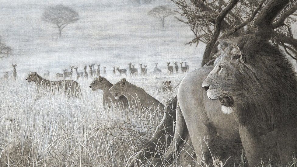 Biro artist Cy Baker's work aids conservation efforts - BBC News