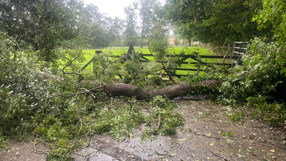 Storm Betty: Disruption due to flooding and fallen trees - BBC News