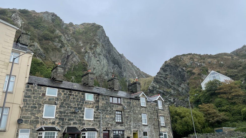 I le mae gwylanod Y Bermo wedi mynd? - BBC Cymru Fyw