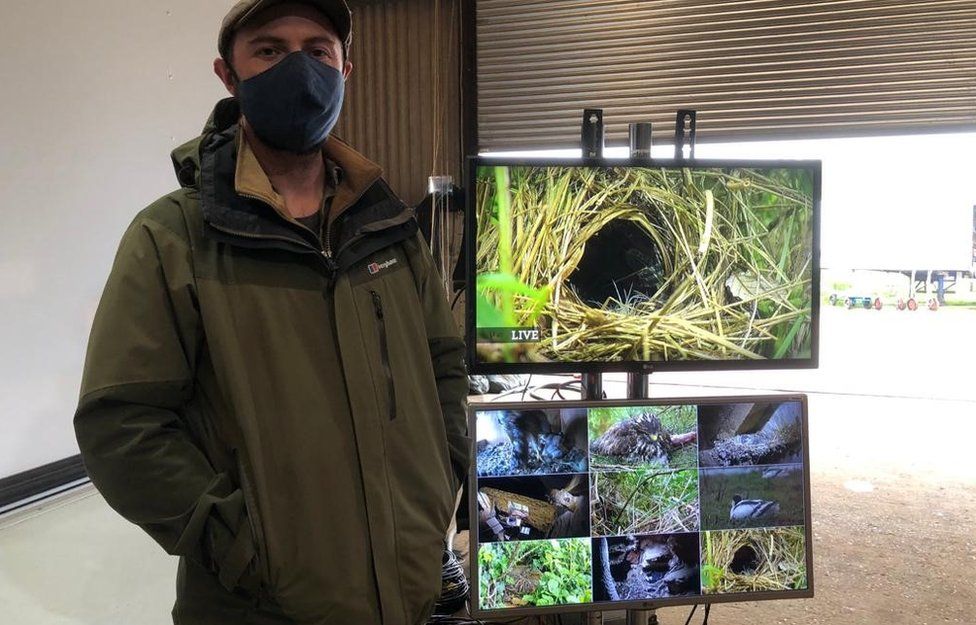 BBC Springwatch at Wild Ken Hill: Behind the scenes | Science news for Kids