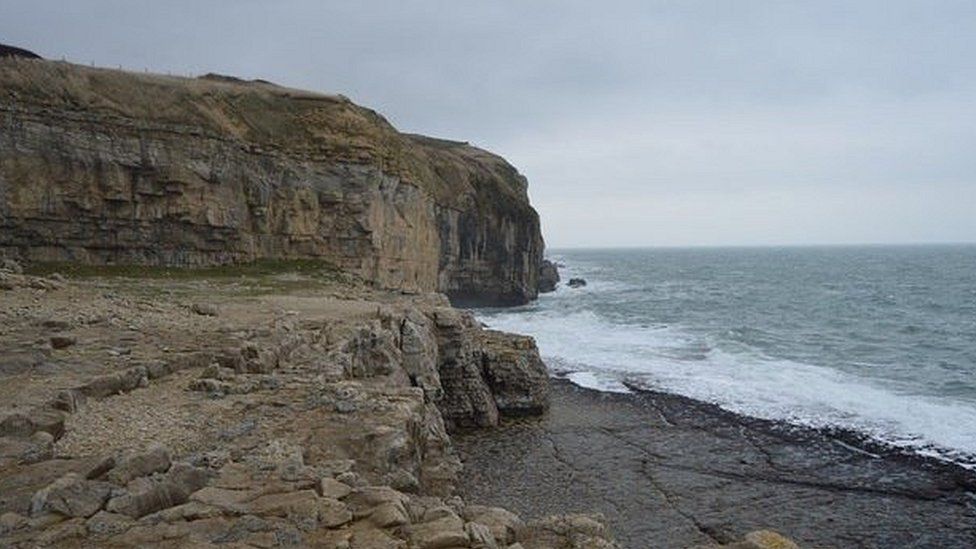 Dancing Ledge: Conduct code agreed for sea cliff attraction - BBC News