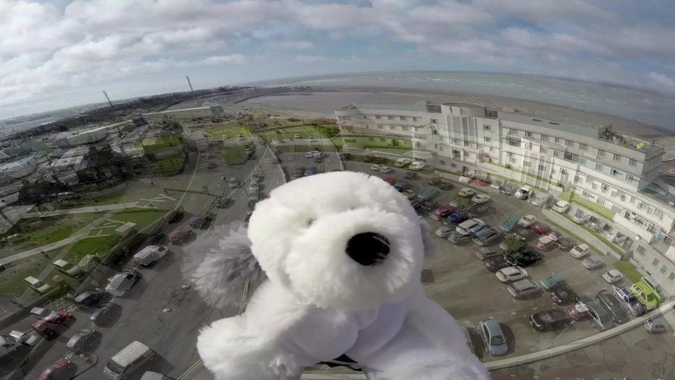 Cuddly toy Sam the dog blasted into stratosphere by schoolchildren ...