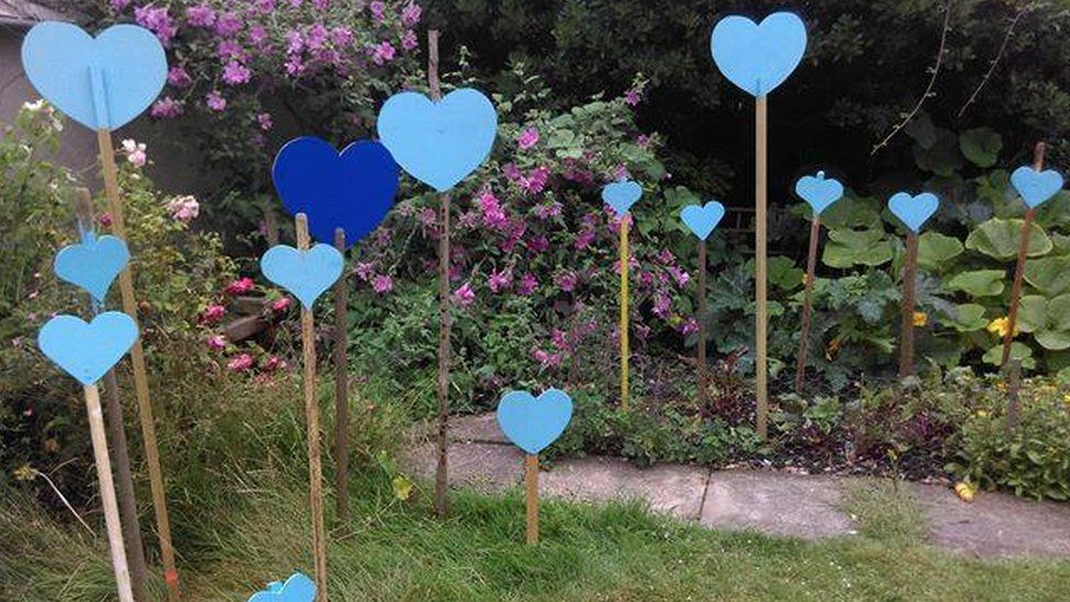 Leicestershire verges: Blue hearts to boost wildlife - BBC News