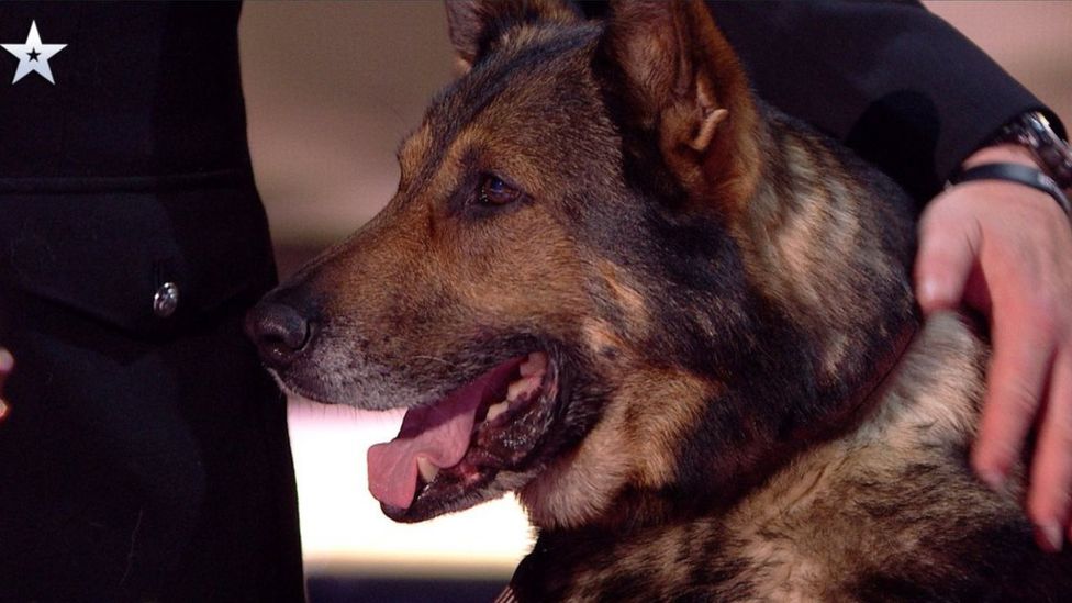 BGT: Who won Britain's Got Talent? - BBC Newsround