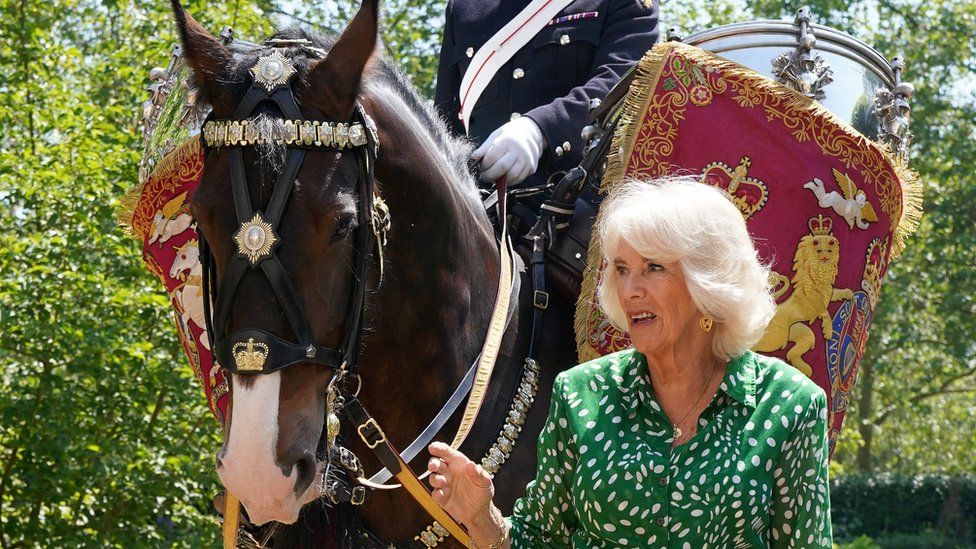 Queen Camilla names lead horse for King's Birthday Parade - BBC Newsround