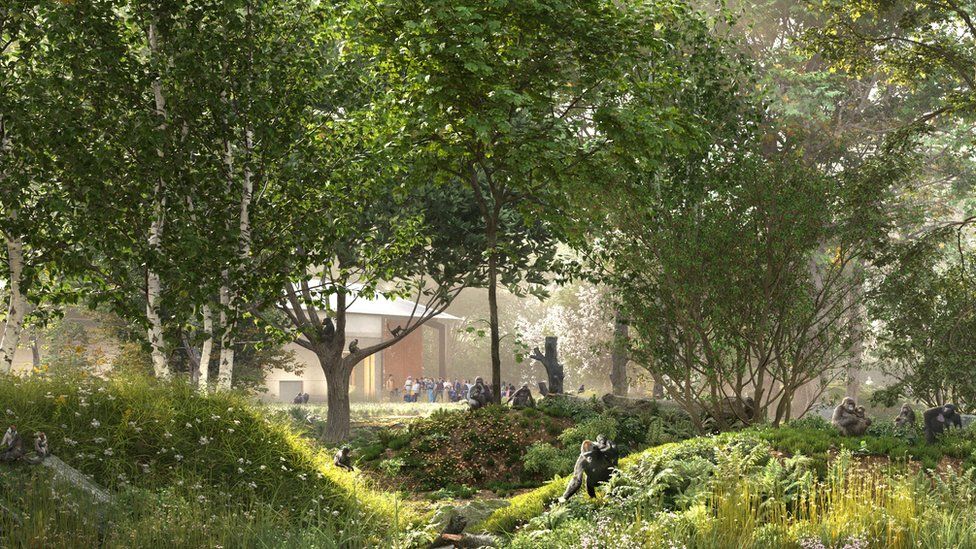 Bristol Zoo Project gets go ahead to build new forest habitat - BBC News
