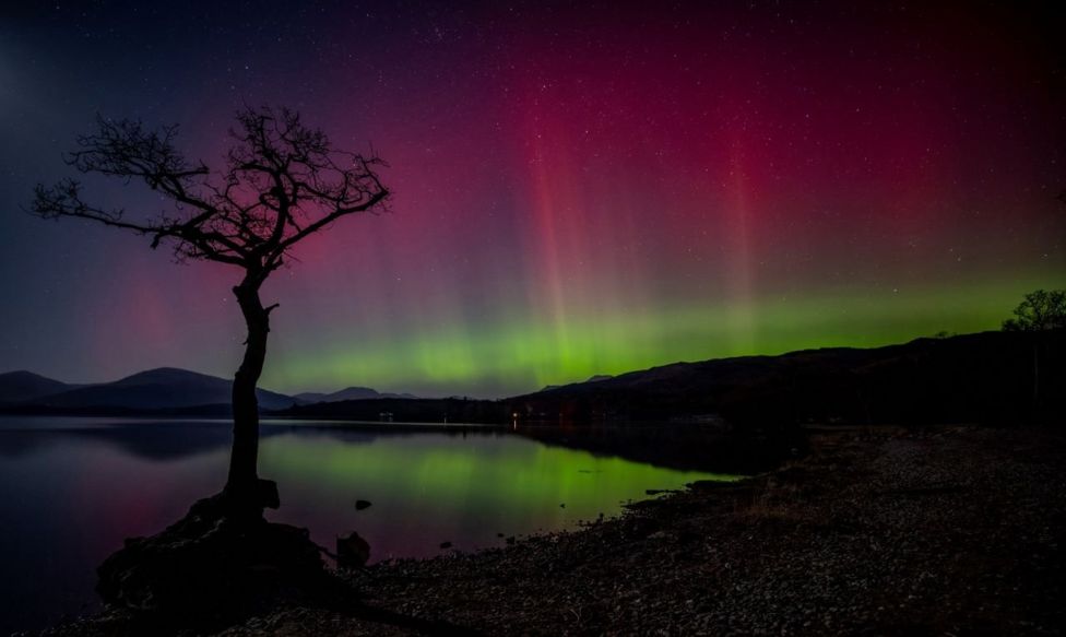 Your pictures of Scotland: 24 February - 3 March - BBC News