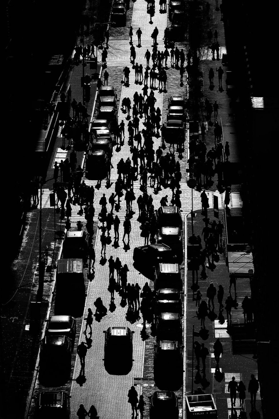 Your pictures on the theme of 'monochrome' - BBC News