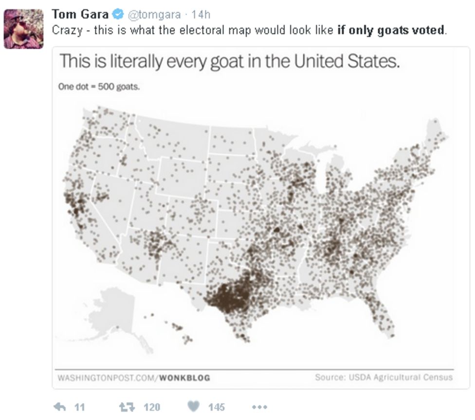 What if only goats voted in the US election? - BBC News
