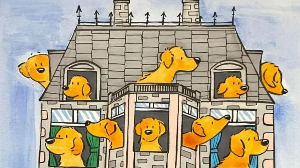 Golden Retrievers: Dogs from around the world meet up - BBC Newsround