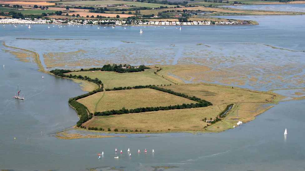 Part of sea wall removed to help Northey Island saltmarsh - BBC News