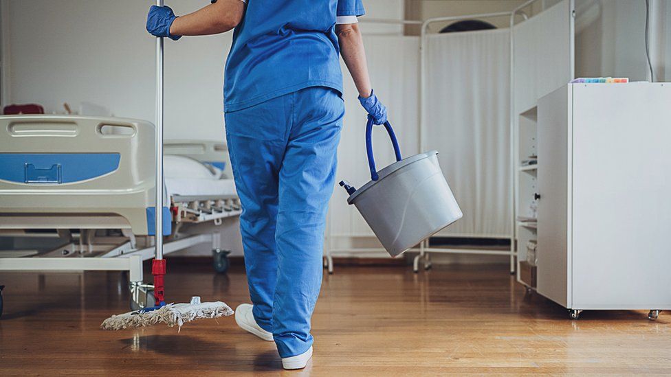 York and Scarborough hospital trust spends £65k on pest control - BBC News