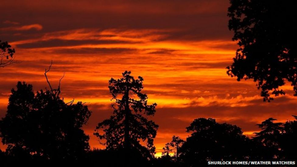 Weather Watcher Profile: Shurlock Homes - BBC Weather