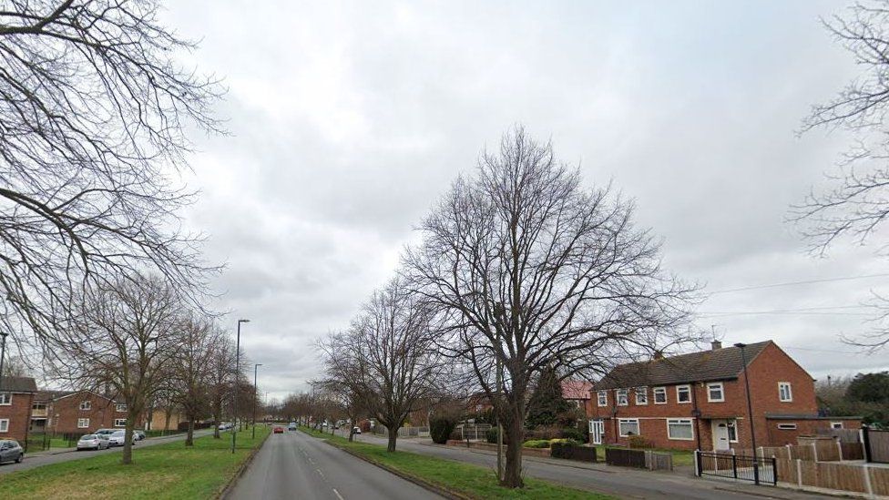 Derby: Woman sentenced after Staffie attacks dog walker - BBC News
