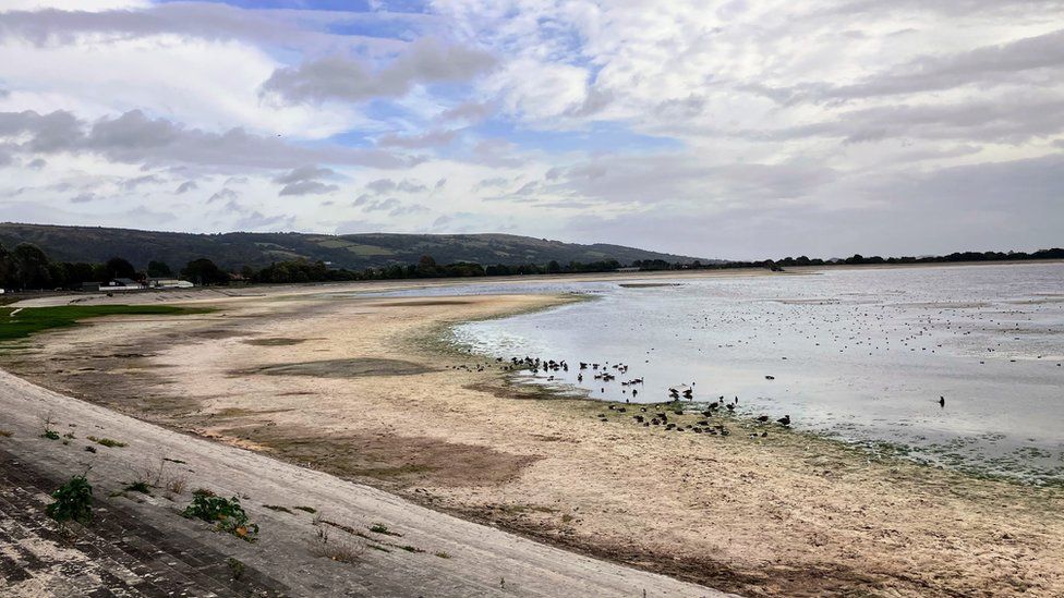 UK drought: Record dry summer forces sheep off Cotswold pastures - BBC News