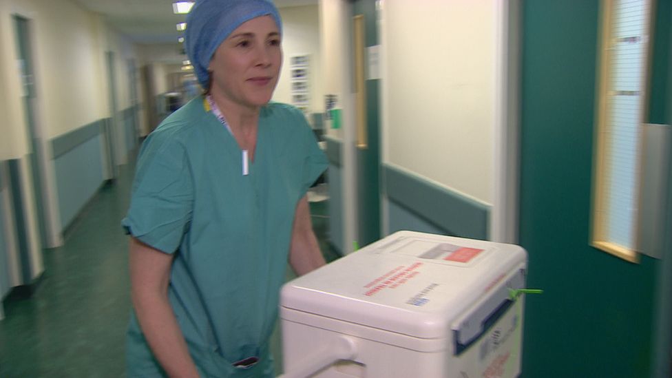 How we became part of a kidney swap chain - BBC News