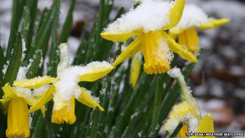 Gallery: Weather Watchers Snow Snaps on 2 March - BBC Weather