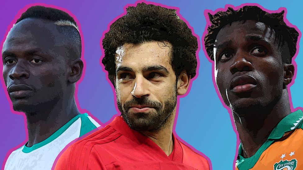 Afcon 2019: Meet the ‘animals’ competing for the Africa Cup of Nations ...