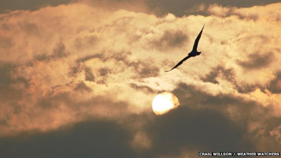 Gallery: Your recent Weather Watchers photos - BBC Weather