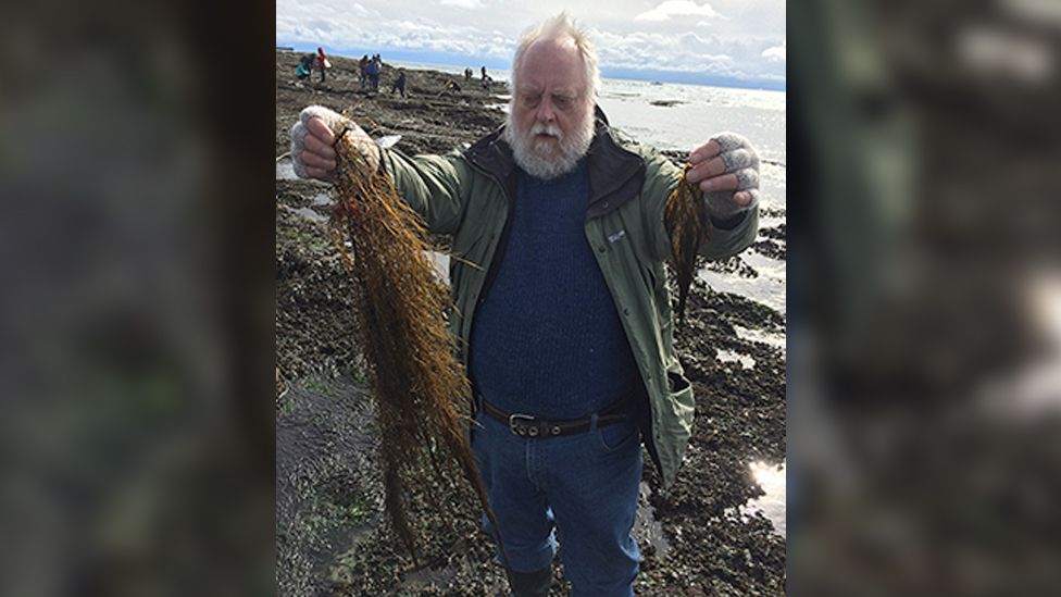 Lucas Fowler and Chynna Deese: The forgotten faces in Canadian ...