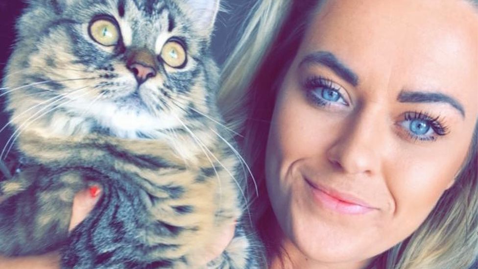 Beloved pet cat Marlee shot and killed in Carlisle - BBC News