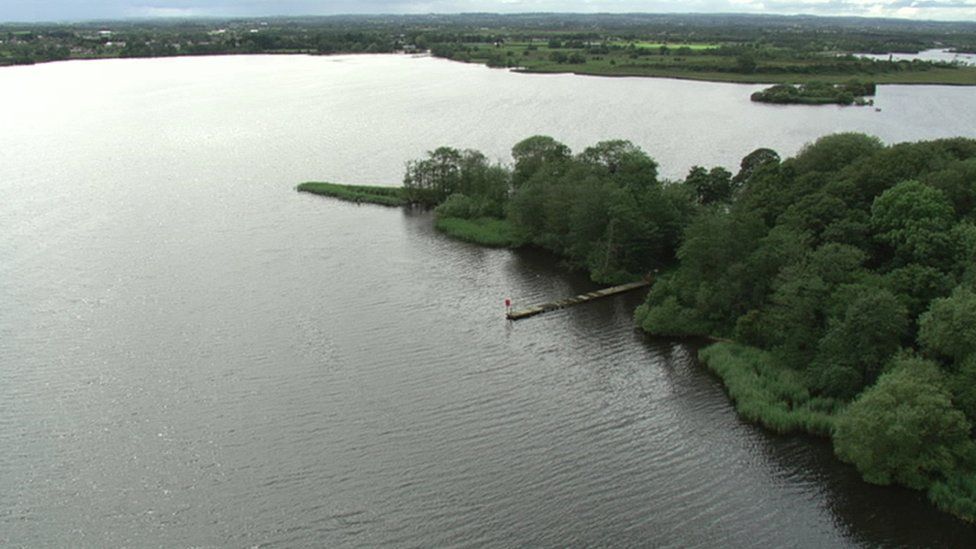 Lough Neagh scheme launched to improve habitat for protected birds ...