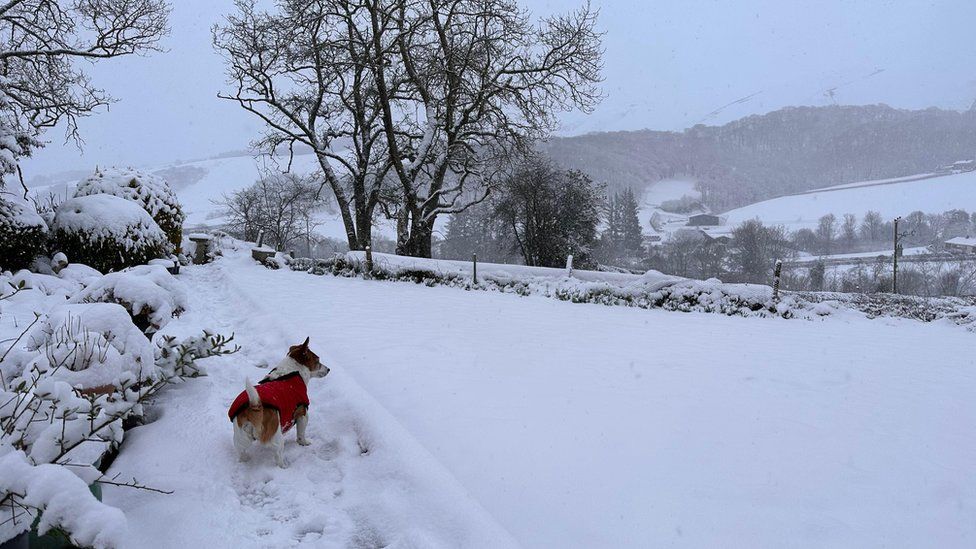 Rhybudd oren wrth i eira a rhew gyrraedd y gogledd - BBC Cymru Fyw