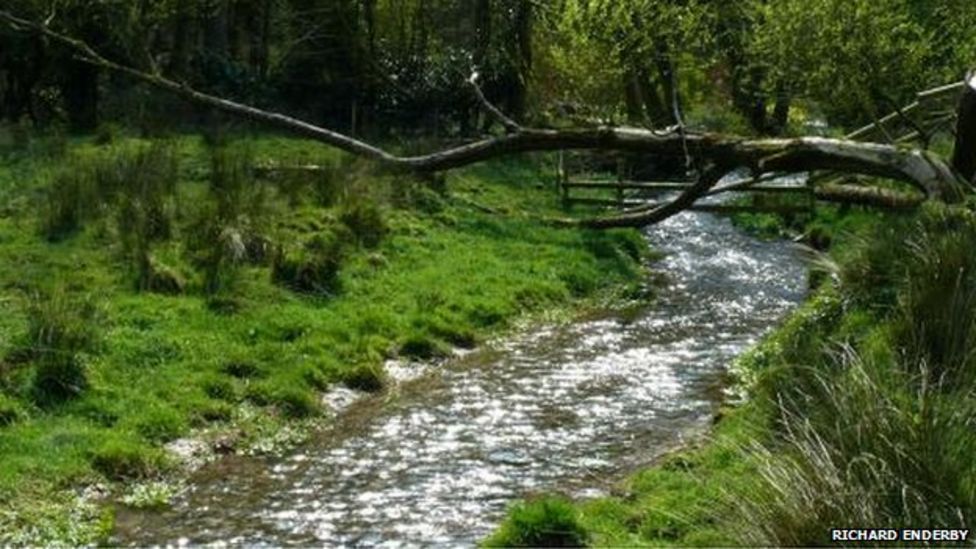 Lincolnshire chalk stream project gets funding for conservation - BBC News