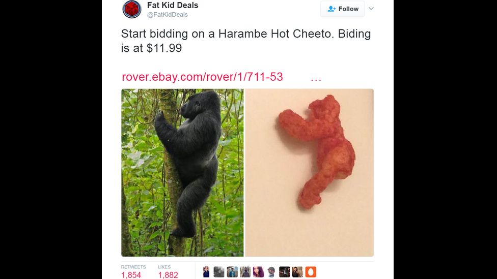Harambe cheeto sells for $99k and a day without women - BBC News