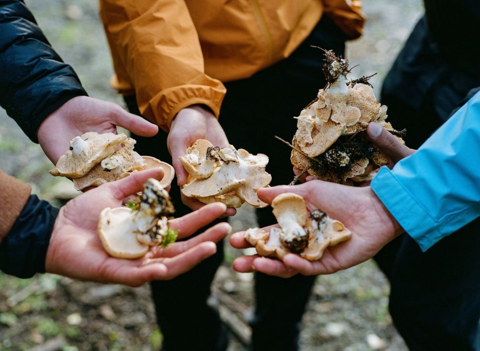 Anthony Mullally: The remote retreats shaping men and medal prospects ...