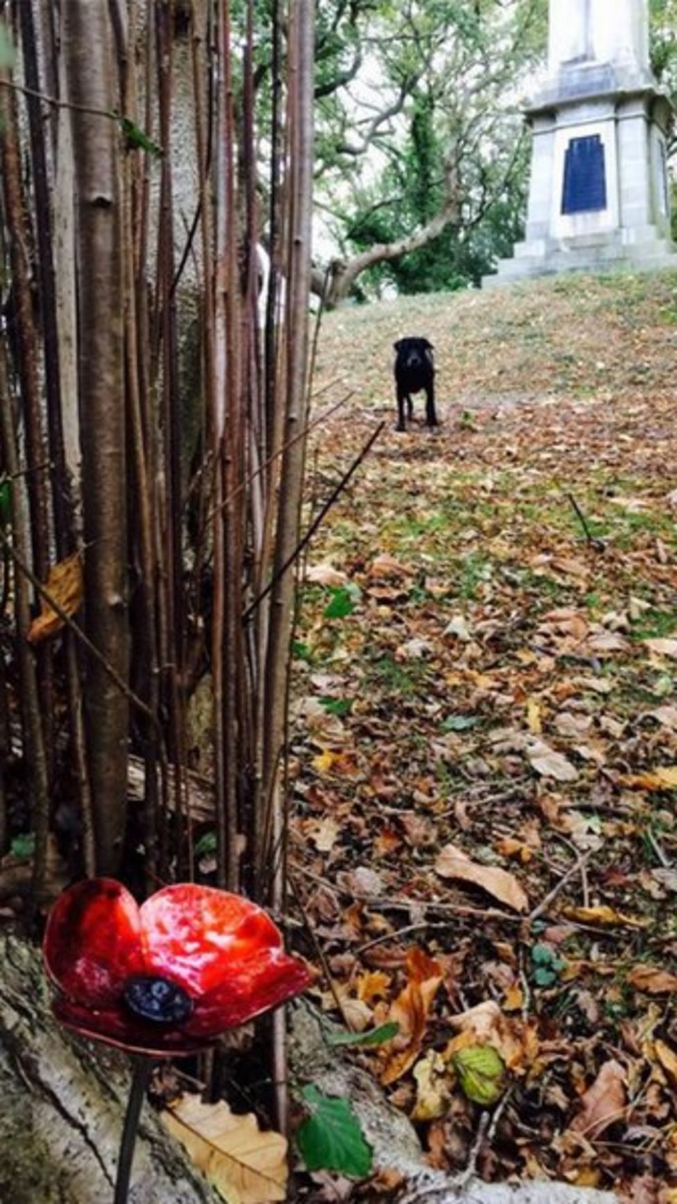 Lymington sculptor plans poignant Armistice Day poppy hunt - BBC News
