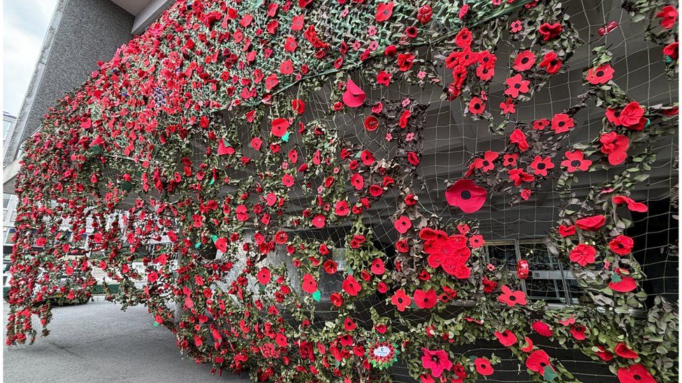 Poppies on display for Remembrance Sunday - BBC News